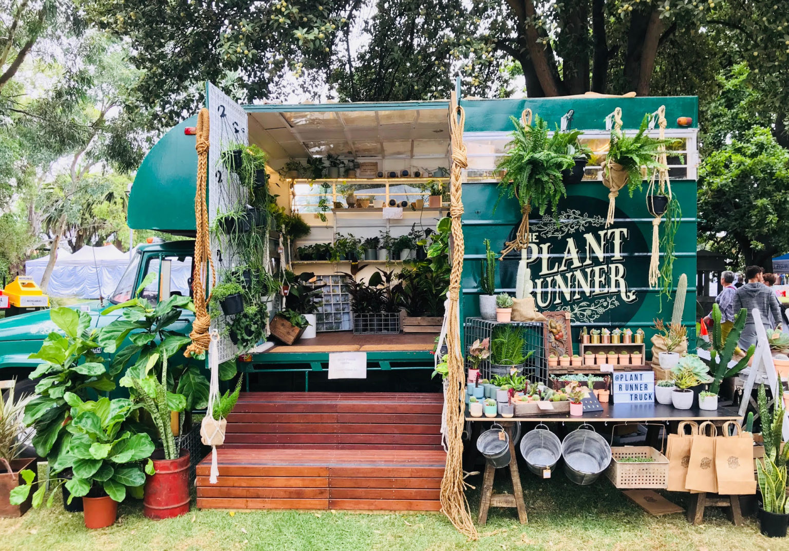 The Best Indoor Plants for Kids Rooms - Minty Magazine